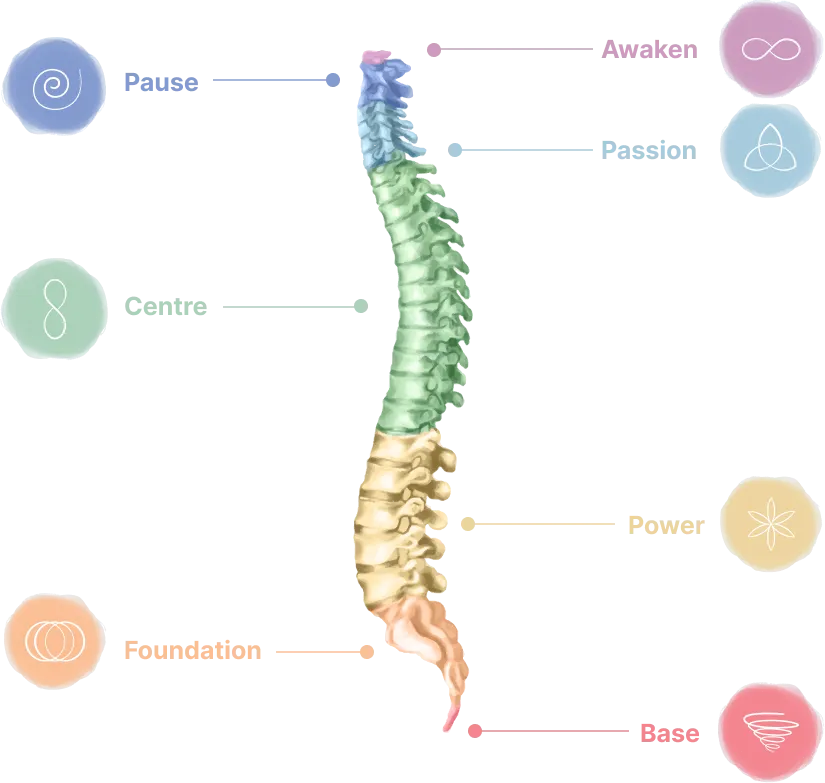 Experience Spinal Flow Healing | Metanoia Spinal Flow